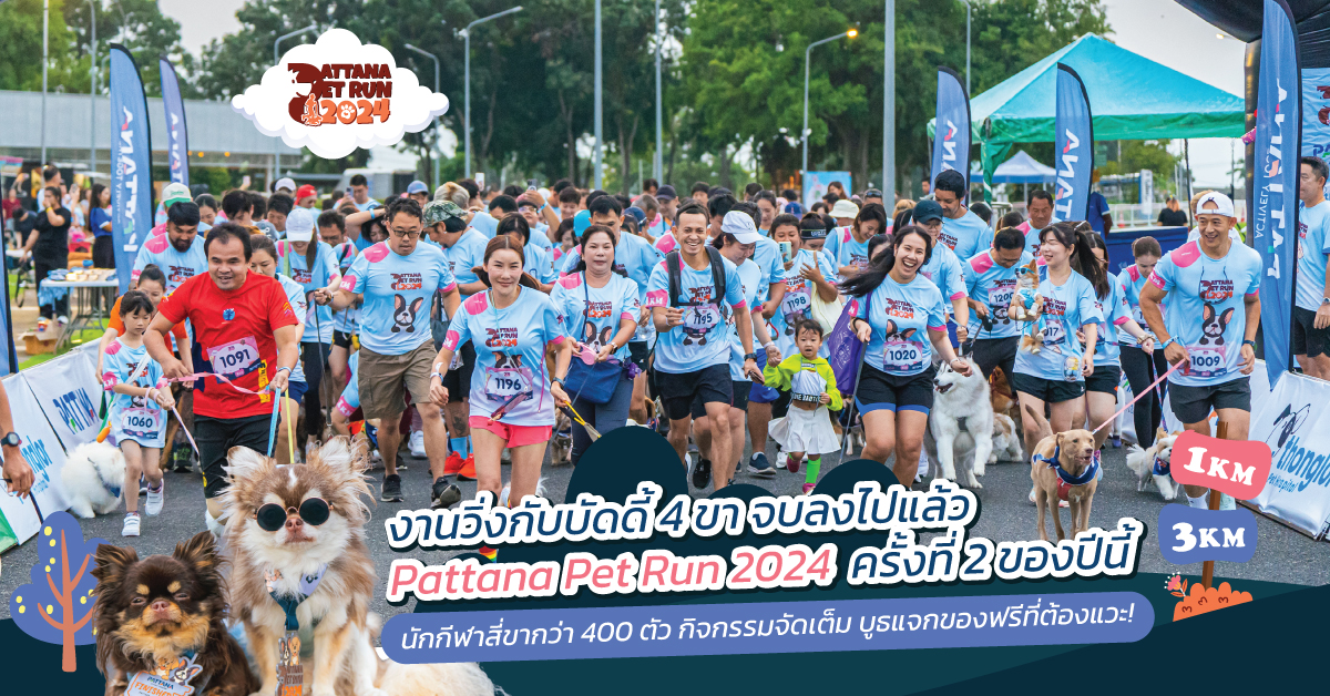 งานวิ่งกับบัดดี้ 4 ขา นักกีฬากว่า 400 ตัว Pattana Pet Run 2024 ครั้งที่ ...